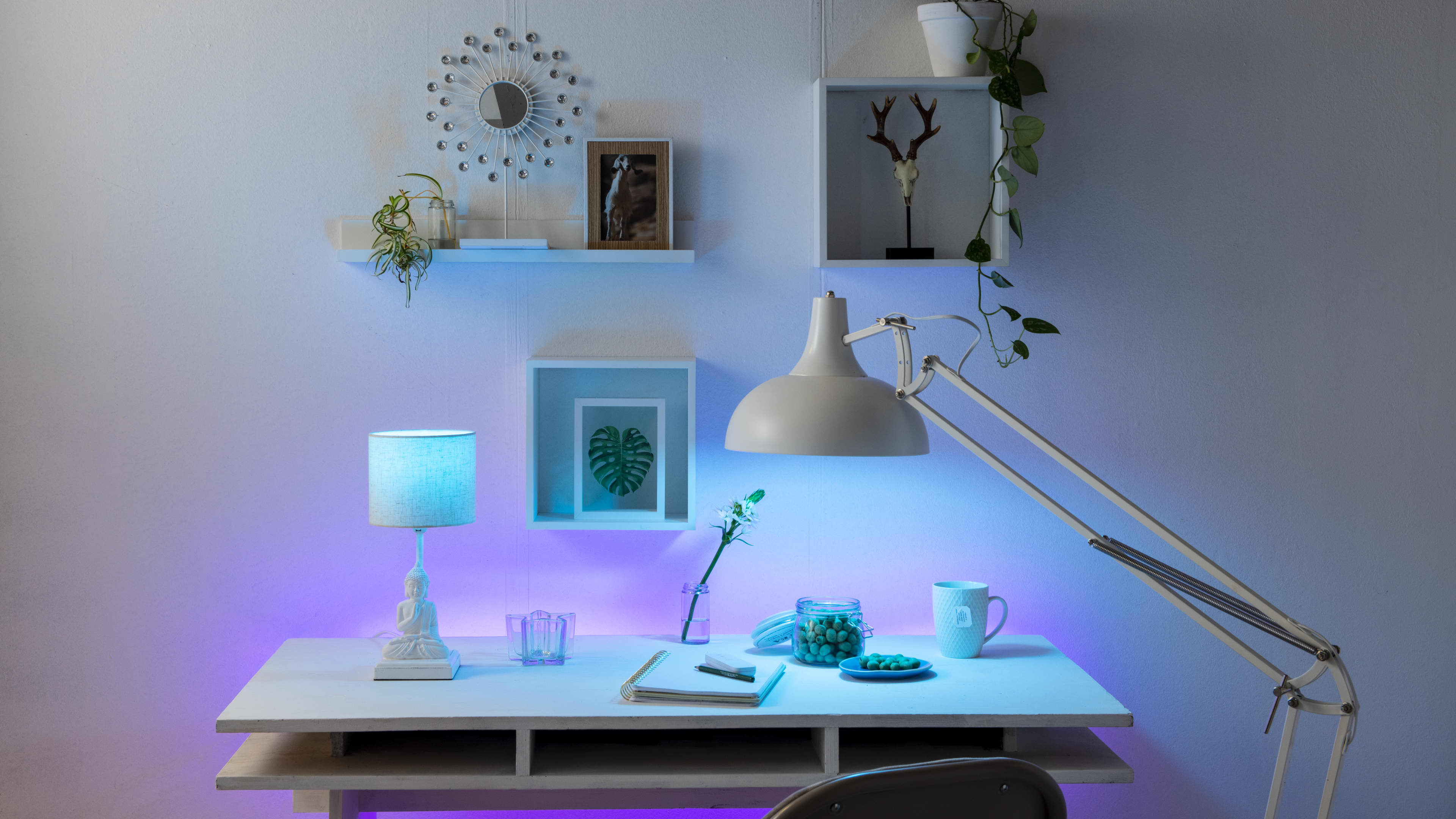 LSC Smart Connect | Action DE