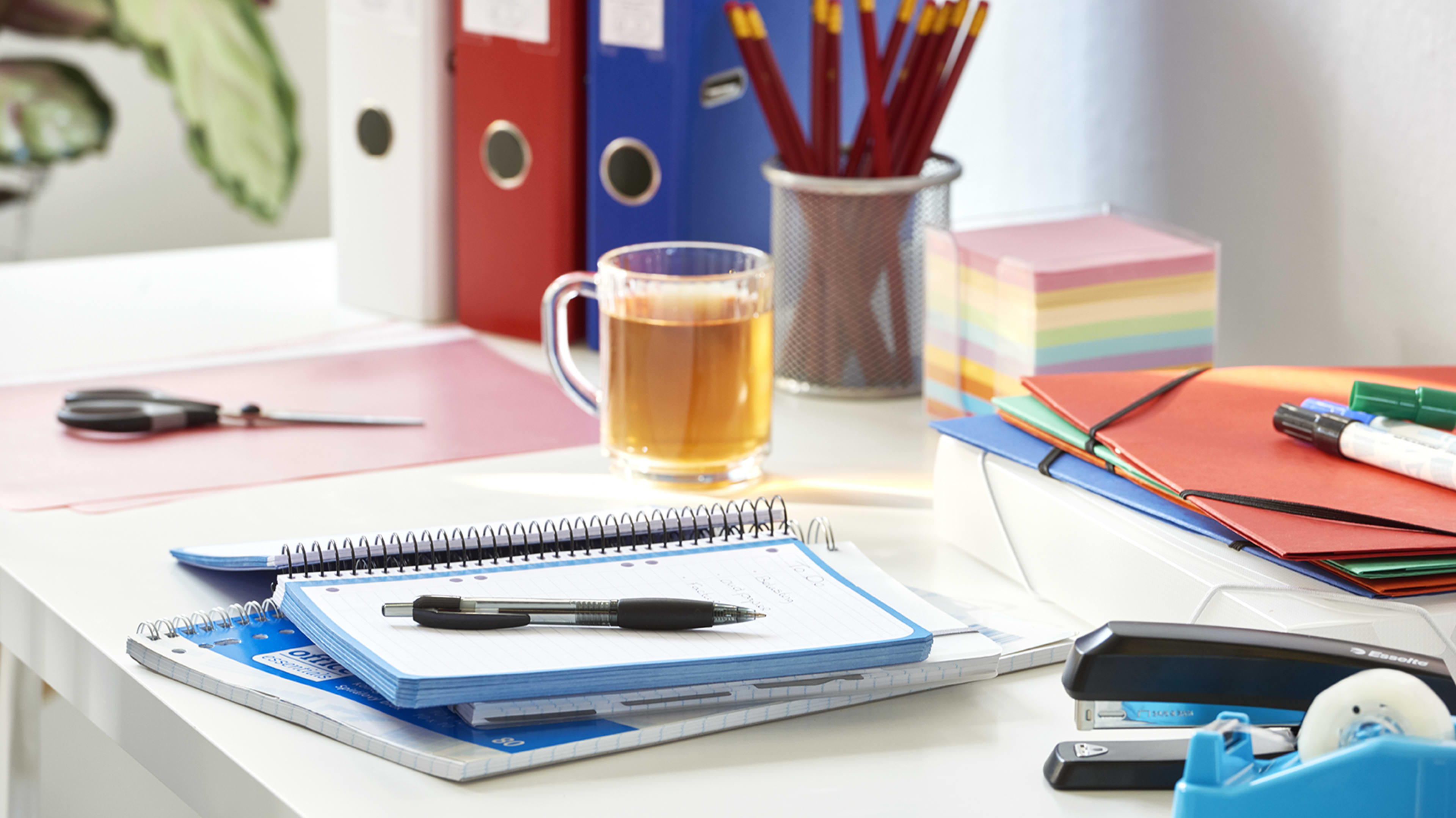 Office Essentials | Action NL