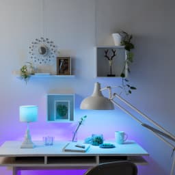 LSC Smart Connect | Action FR