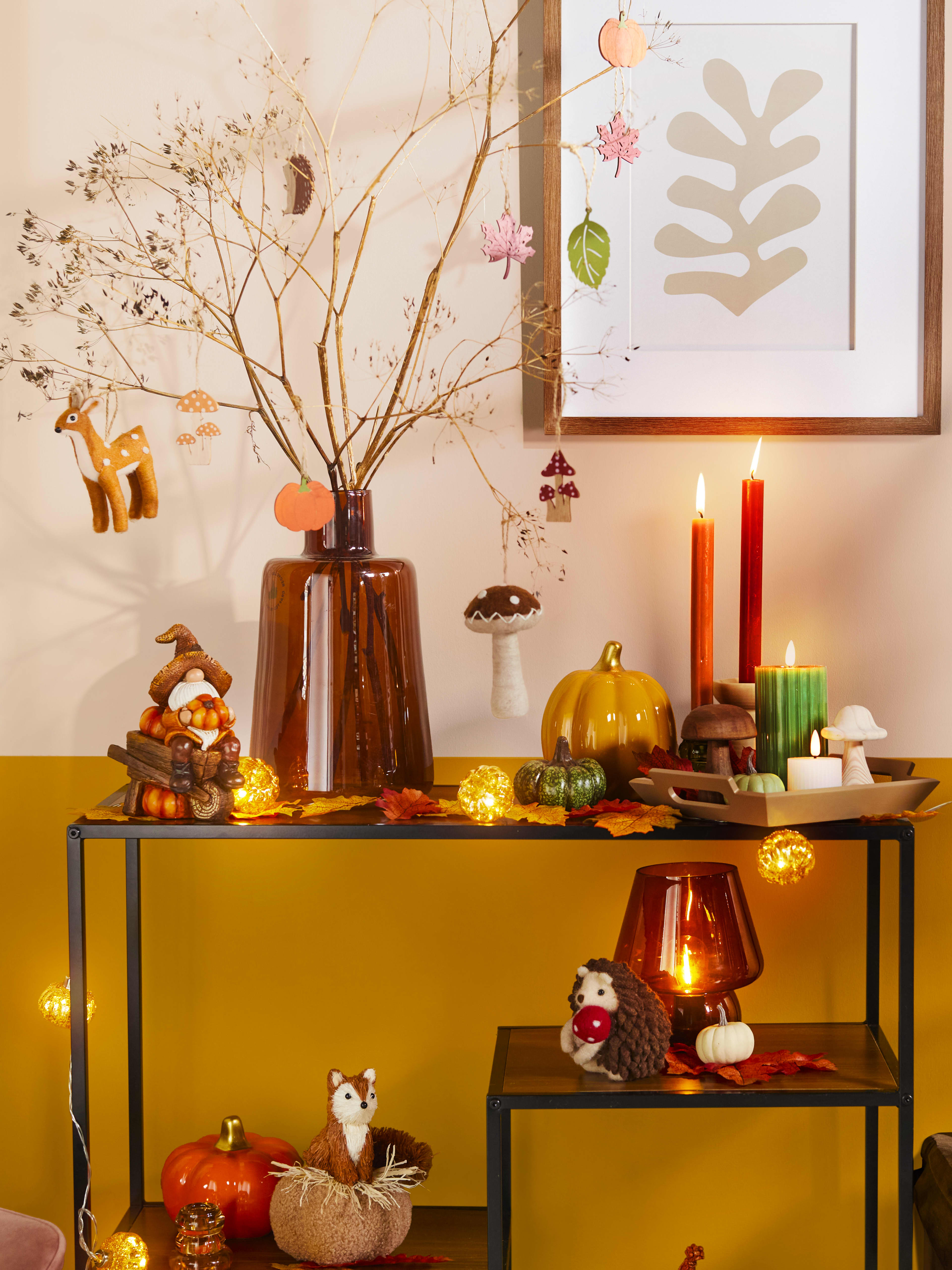 Notre histoire | Action FR