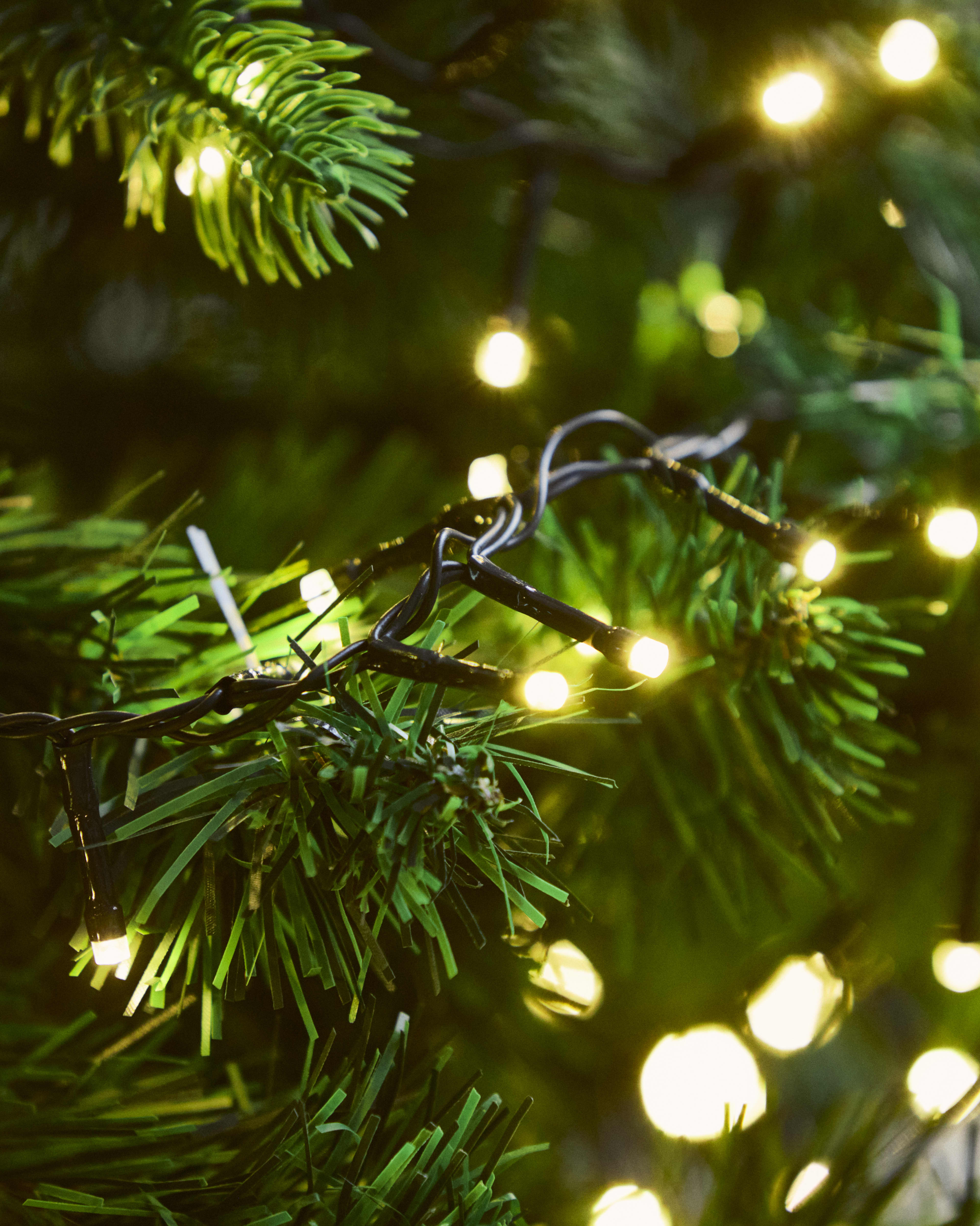 Kerst 2024: alles voor Kerst voor de laagste prijs | Action NL