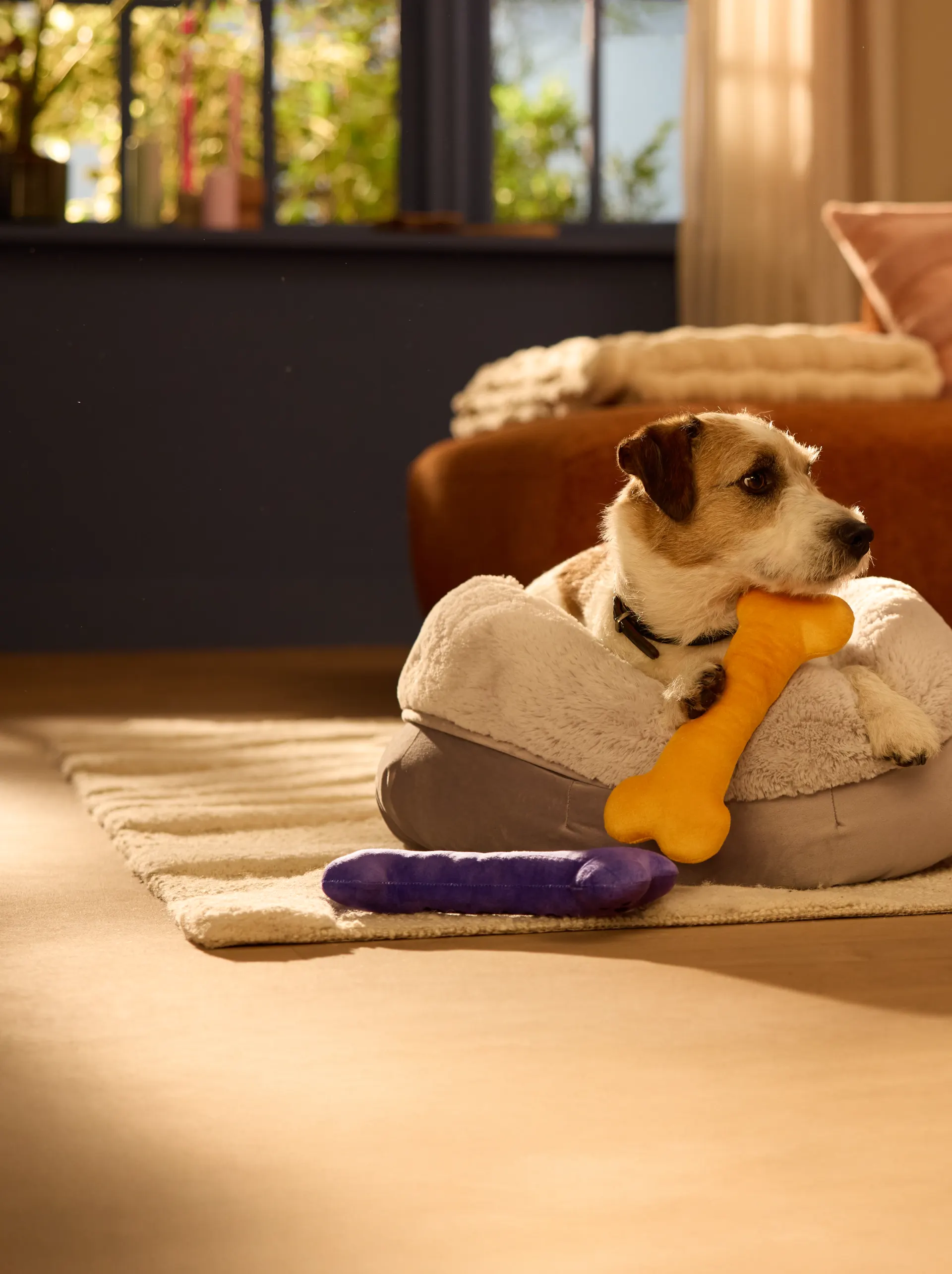 Mousse expansive TCX | Action FR