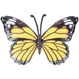 Fluture decorativ – 30 cm | Action RO