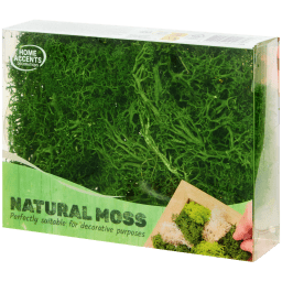 Mousse décorative Home Accents | Action FR