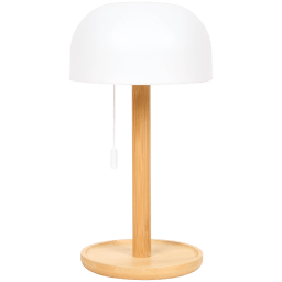 Lampe LED rechargeable | Action CH